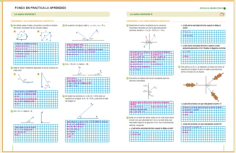 D5º Sol Pract Act 5 Cyt U1 | PDF | Vector Euclidiano | Física