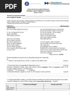 PLANIFICARE CLASA A 7-A Romana | PDF