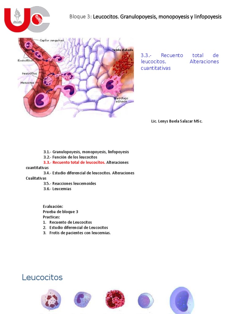 Recuento de Leucocitos | PDF | Leucocito | Sangre