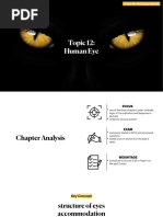 Grade 12 Life Science the Eye | PDF | Eye | Myopia