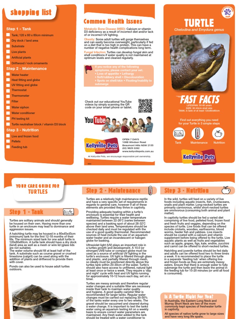 RE06 Turtles | PDF | Turtle | Aquarium