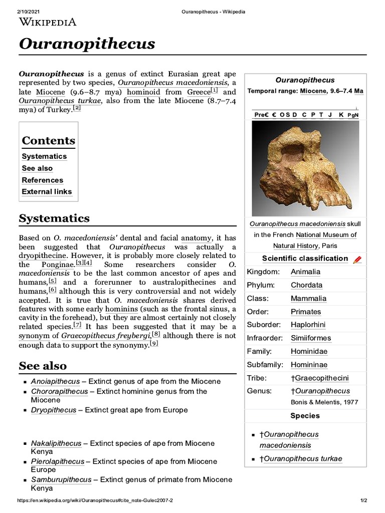 Ouranopithecus | PDF