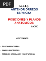 2.LOCALIZACION DE ESTRUCTURAS ANAT+ôMICAS - Terminos de Posici+ N y Direccion. | PDF | Términos ...