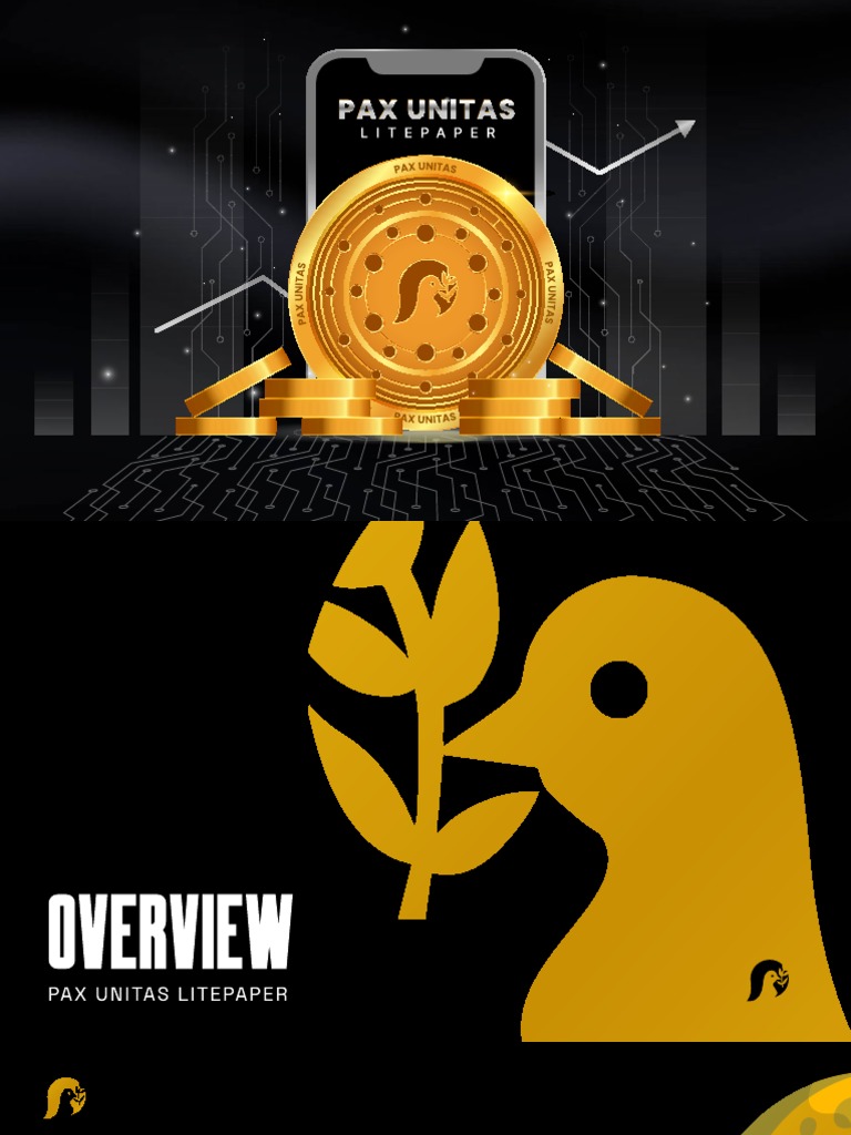 Lite Paper | PDF | Cryptocurrency | Governance