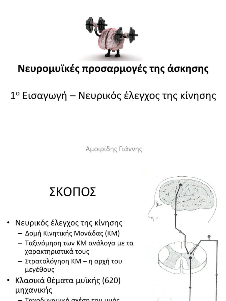 1. Νευρικός έλεγχος της κίνησης (1) | PDF