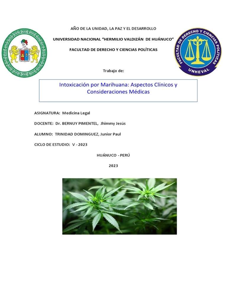 Trabajo Monográfico de Medicina Legal - Intoxicación Por Marihuana | PDF | Cannabis (Droga ...