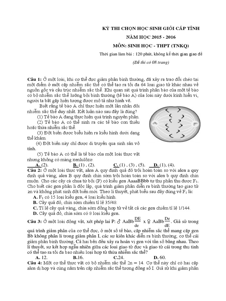 Ddeef Thi HSG Tinh 2015-2016 | PDF