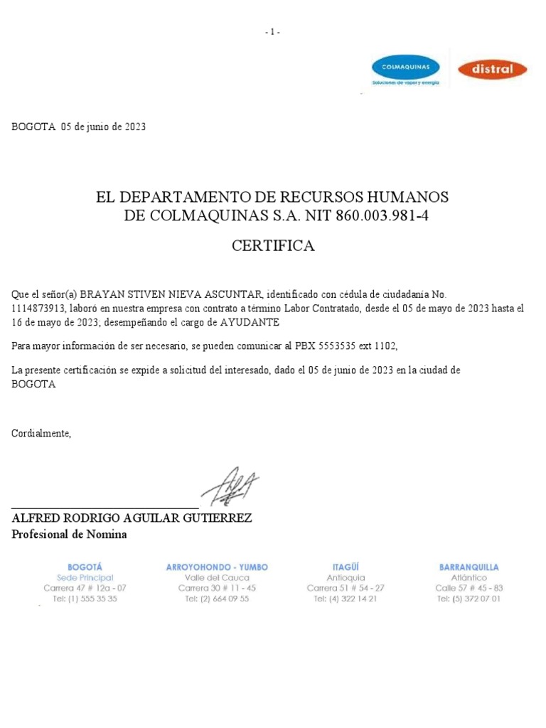 Brayan Nieva Laboral | PDF