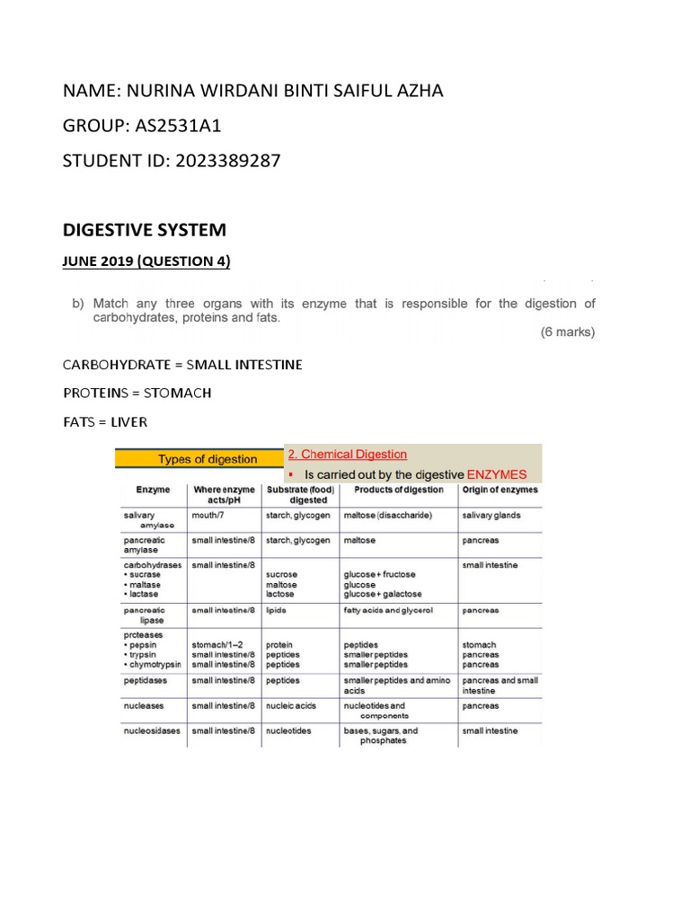 Nurina Wirdani 2 | PDF