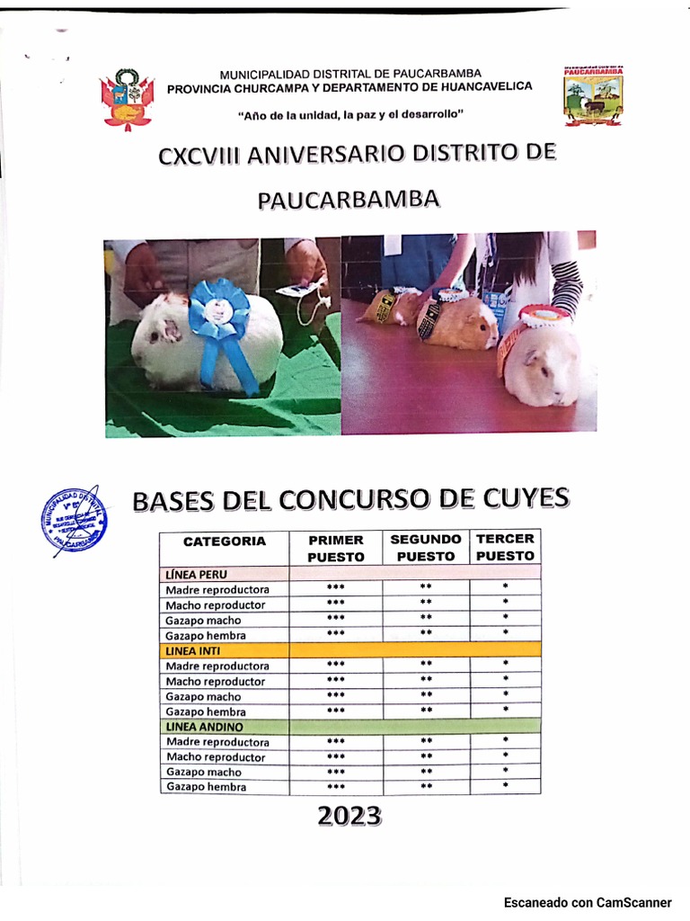 Bases Concurso de Cuy | PDF