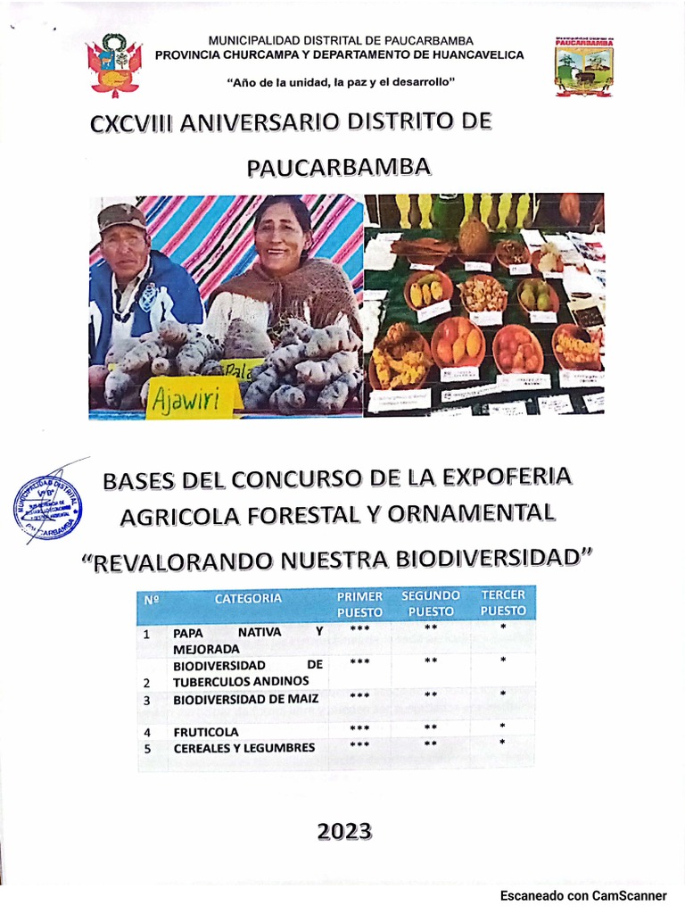 Bases de Expoferia | PDF