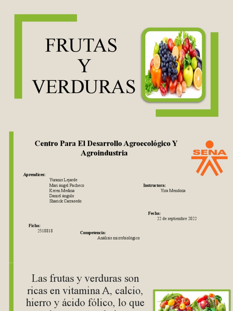 Frutas Y Verduras Pdf Vegetales Fibra Dietética