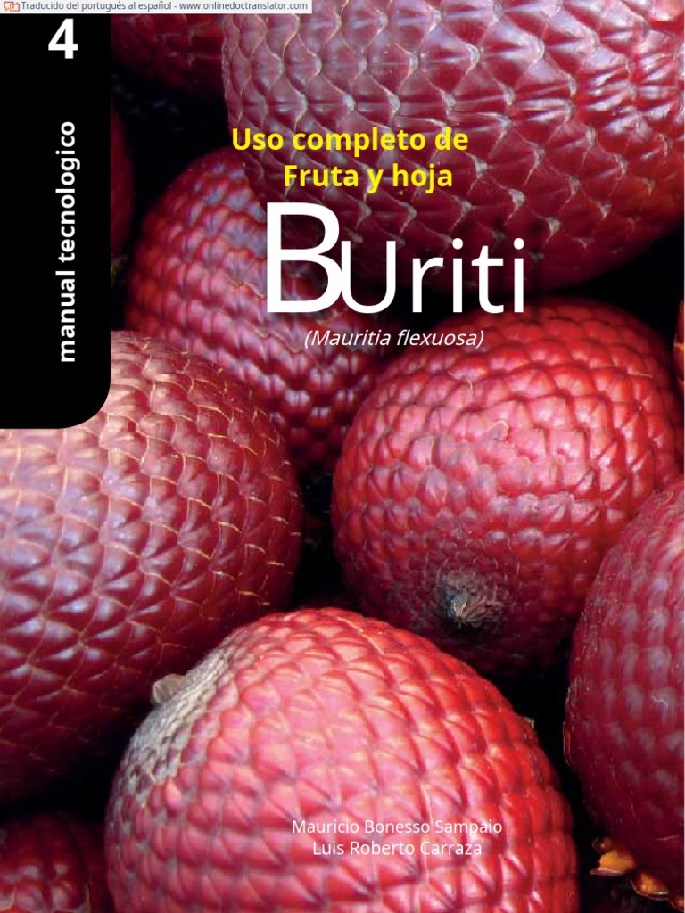 MAURITIA FLEXUOSA BURITI - Pt.es | PDF | Agua | Cosecha