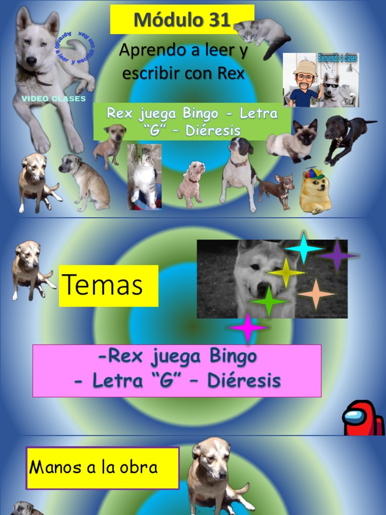 Aprendo A Leer y Escribir Con Rex I Módulo 31 I Rex Juega Bingo I Letra G (Diéresis) | PDF