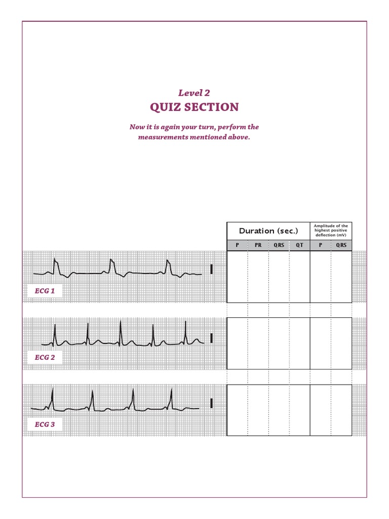 Yellow Belt Level 02 - Quiz | PDF