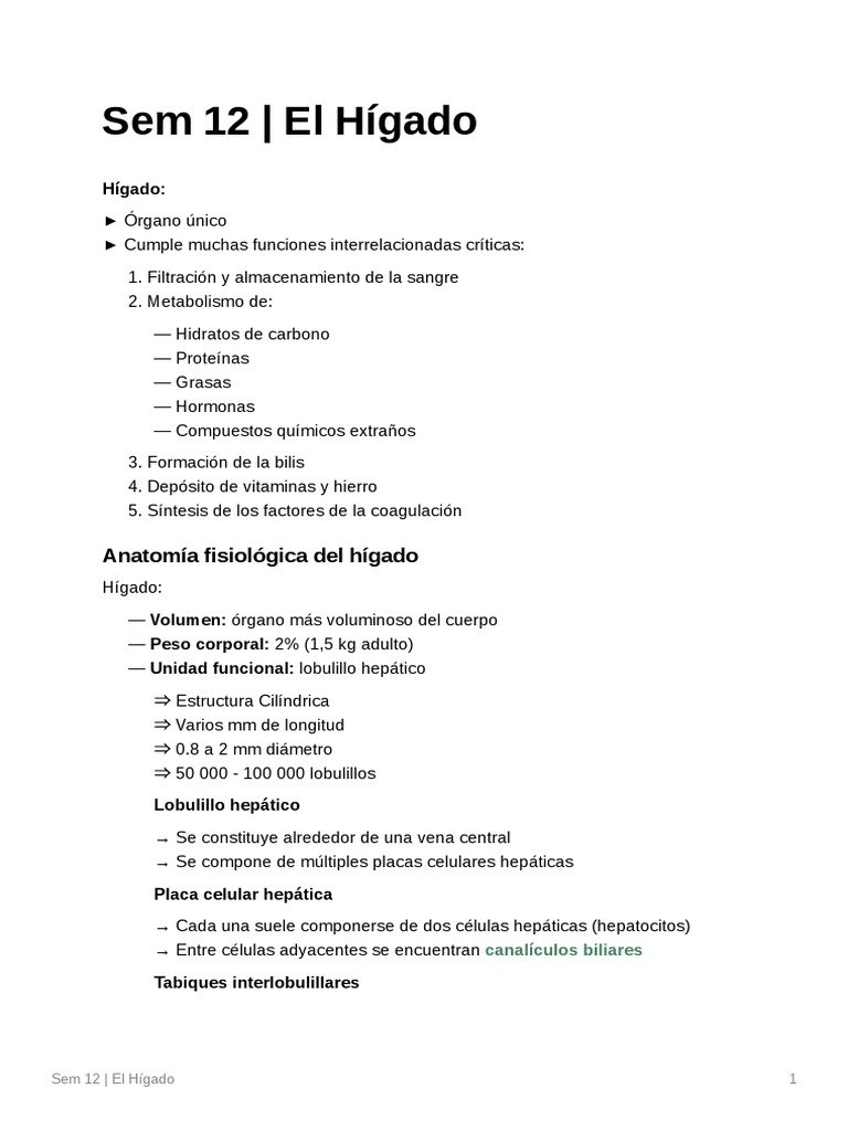Sem 12 El Hgado | PDF | Hígado | Hepatocito