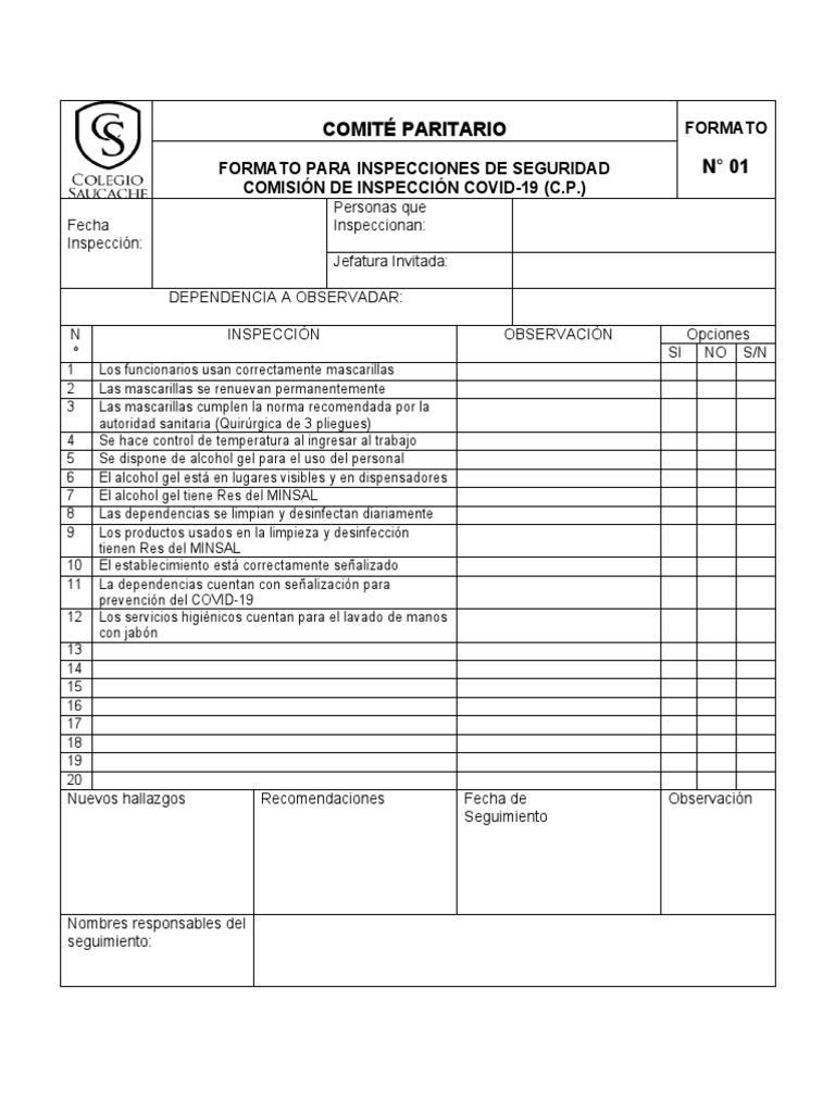 Inspección de Seguridad | PDF