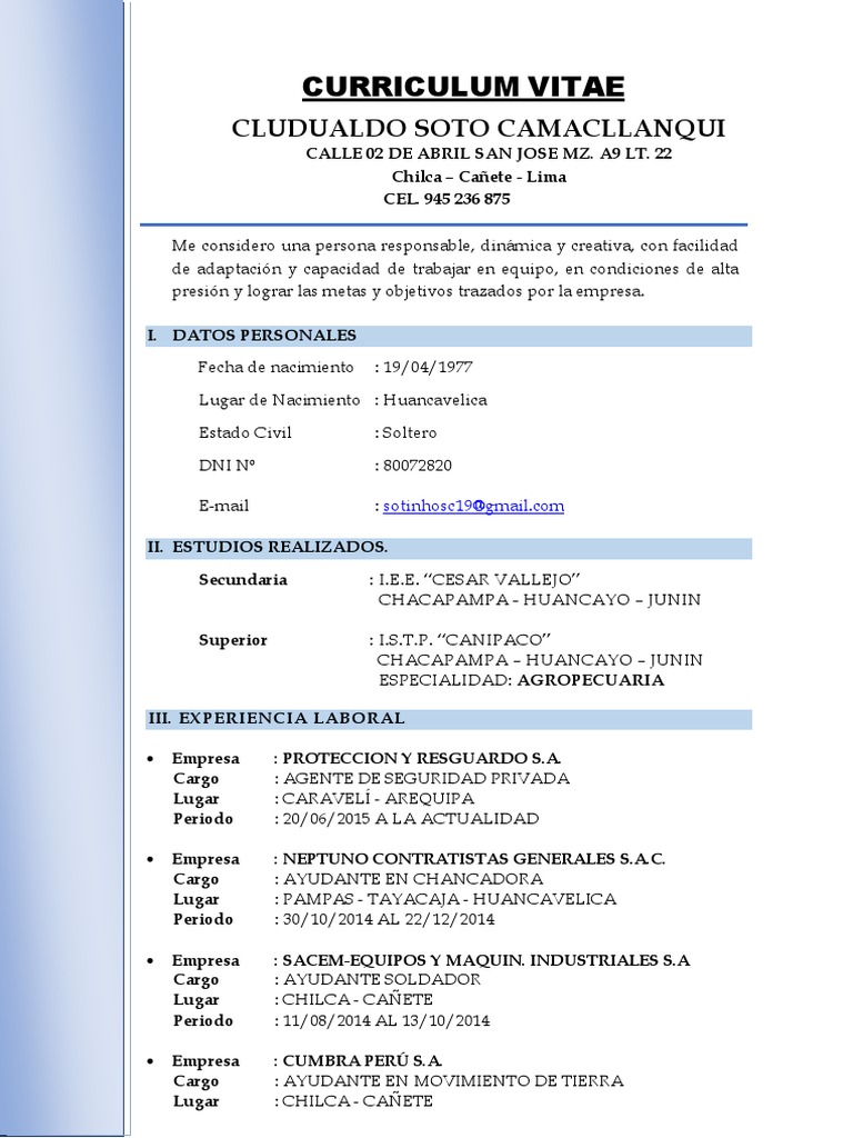 Modelo de CURRICULUM VITAE | PDF