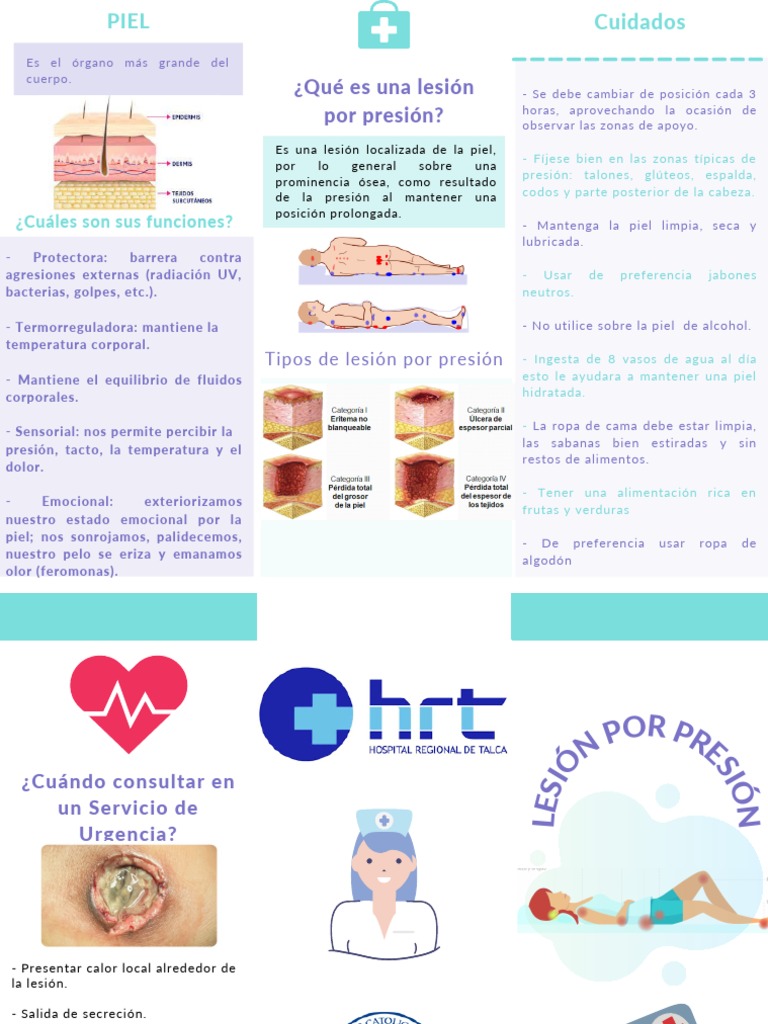 11 Prevencion LPP | PDF | Piel | Termorregulación