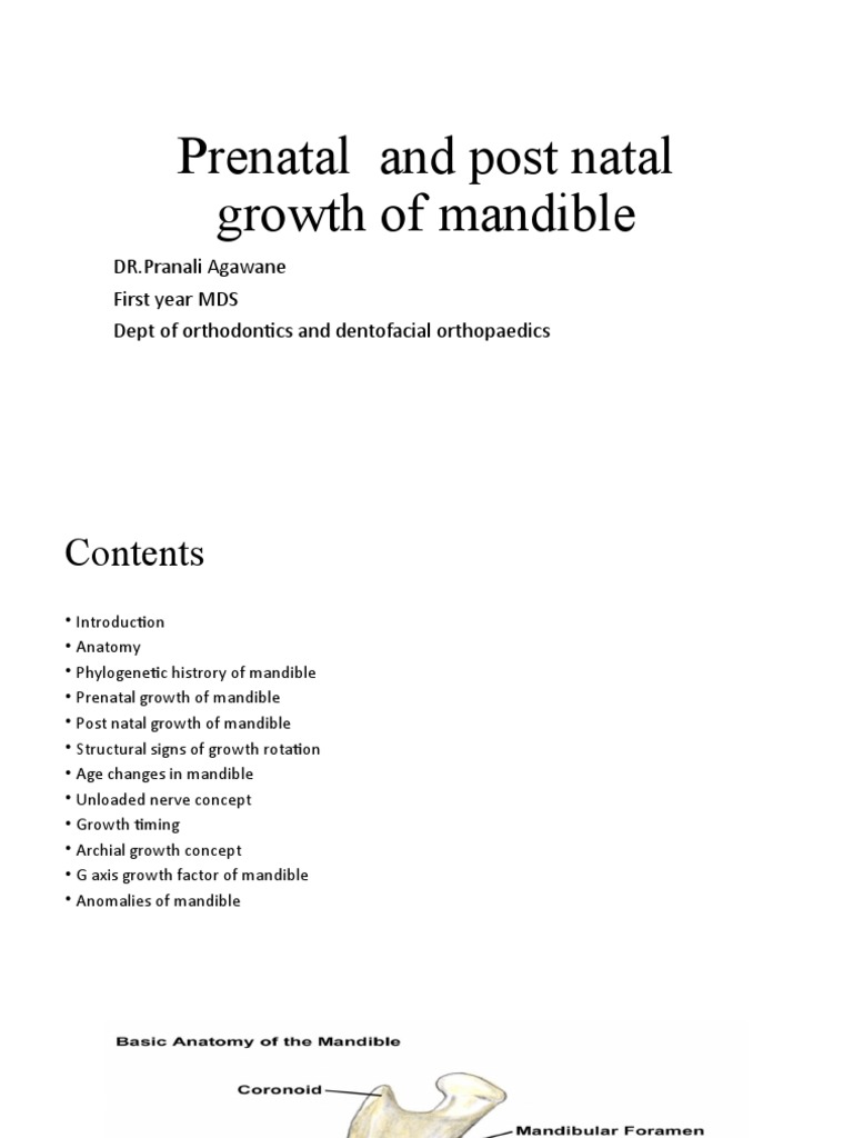 4.prenatal and Post Natal Growth of Mandible | PDF | Musculoskeletal ...