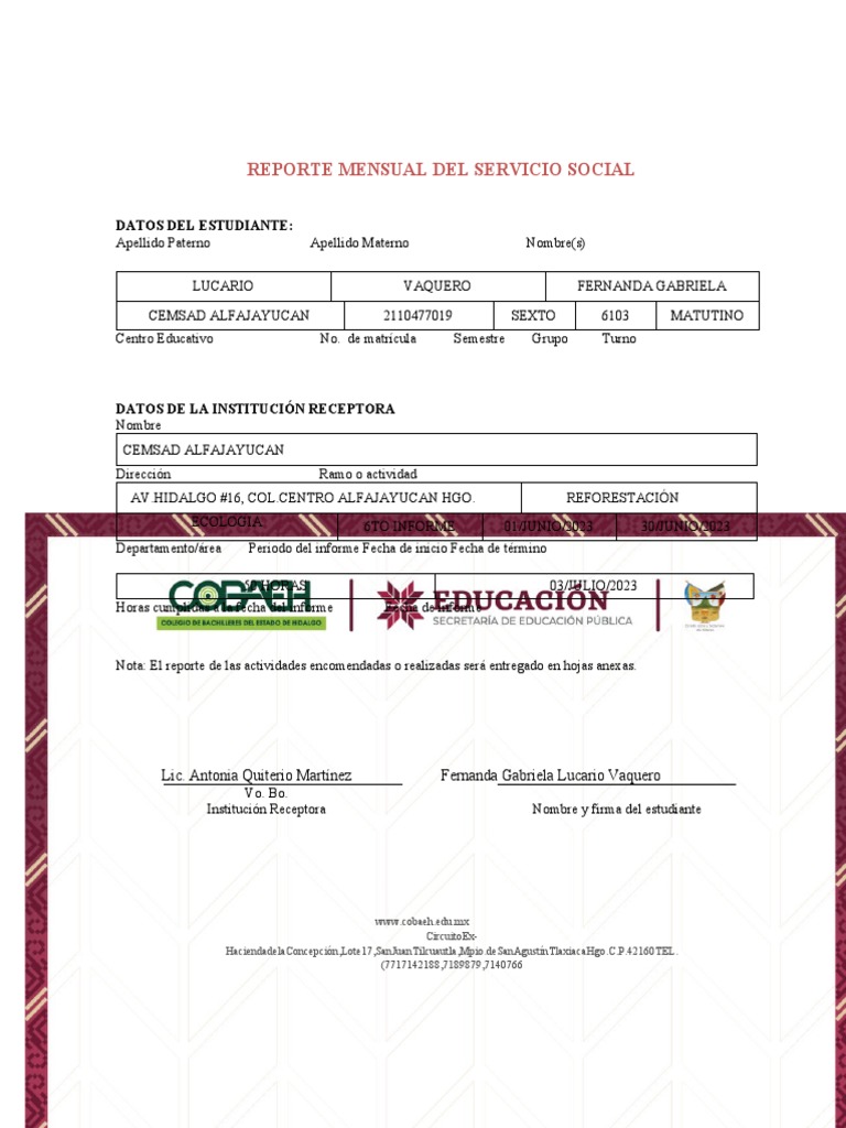 REPORTE MENSUAL DFF | PDF