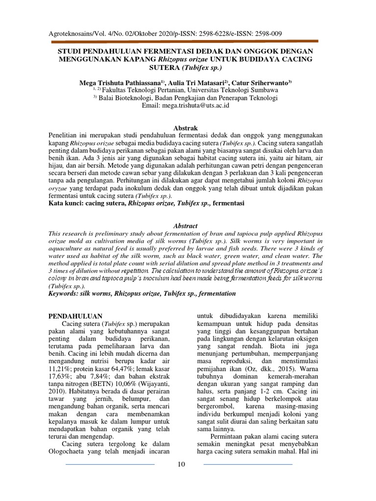 Fermentasi Dedak | PDF