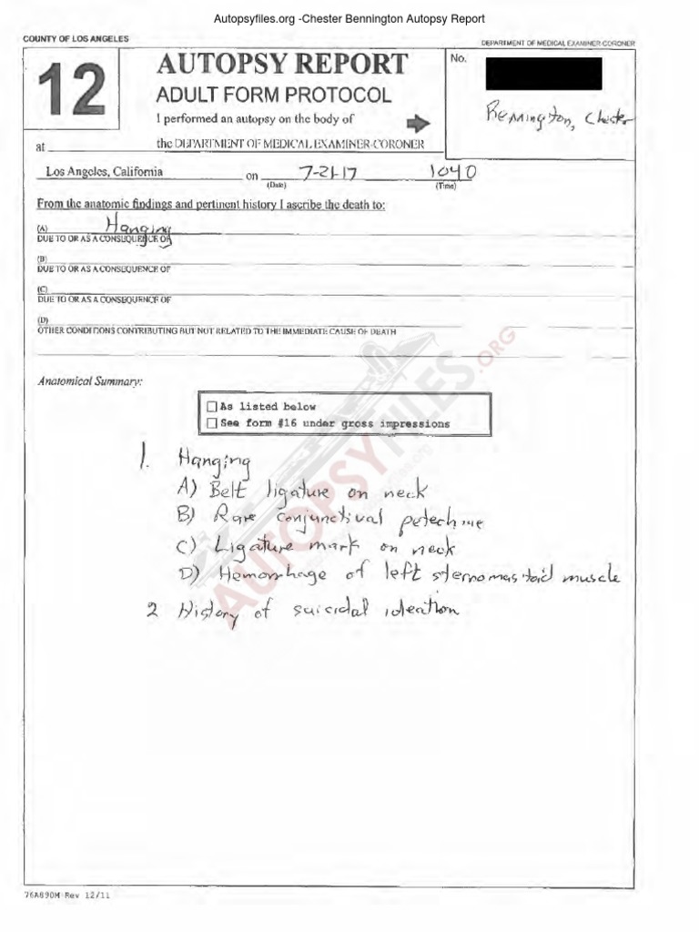 Bennington, Chester Report | PDF | Politics | Law