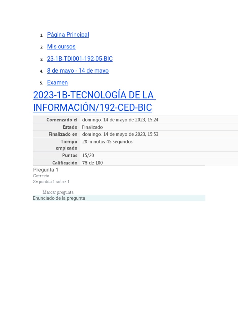 Examen Final Iplacex Tic | PDF