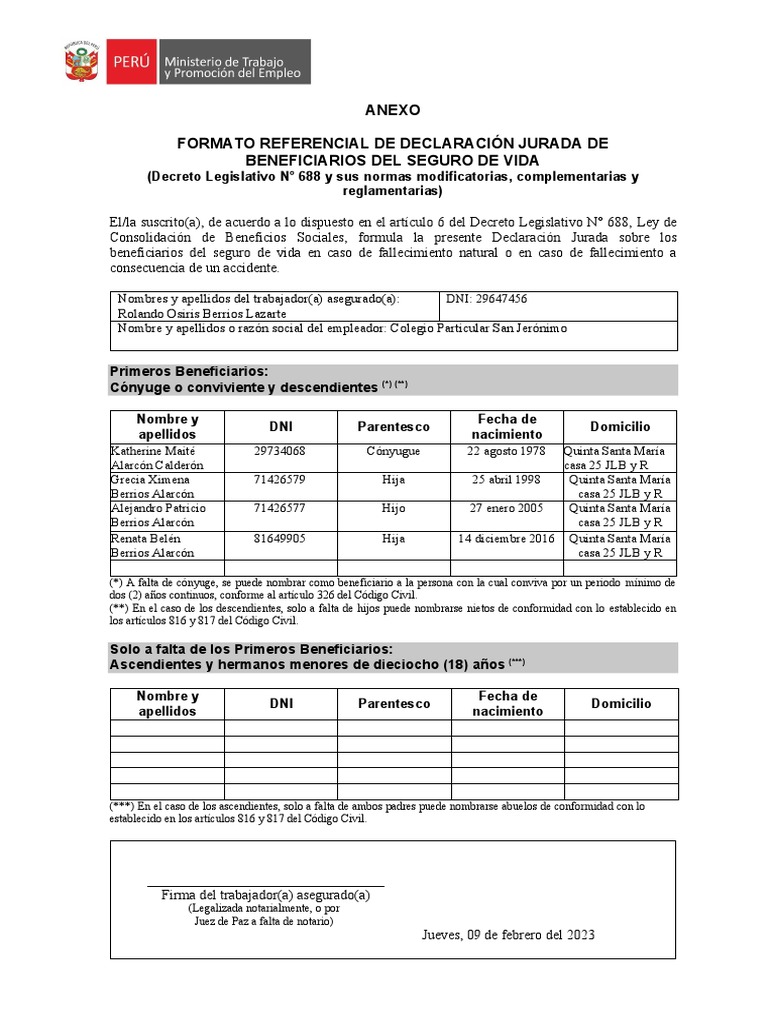 Declaracion Jurada Vida Ley | PDF | Instituciones sociales | Gobierno
