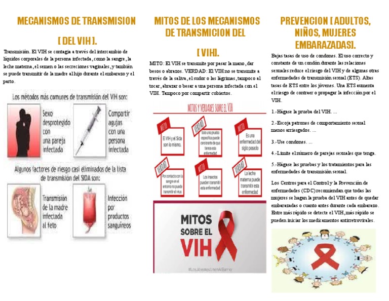 Mecanismos de Transmision Triptico Final | PDF | VIH | Infección transmitida sexualmente