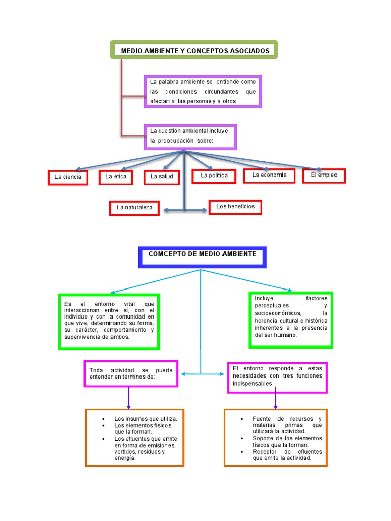 Mapa Conceptual Del Medio Ambiente | PDF | Entorno natural | Agua