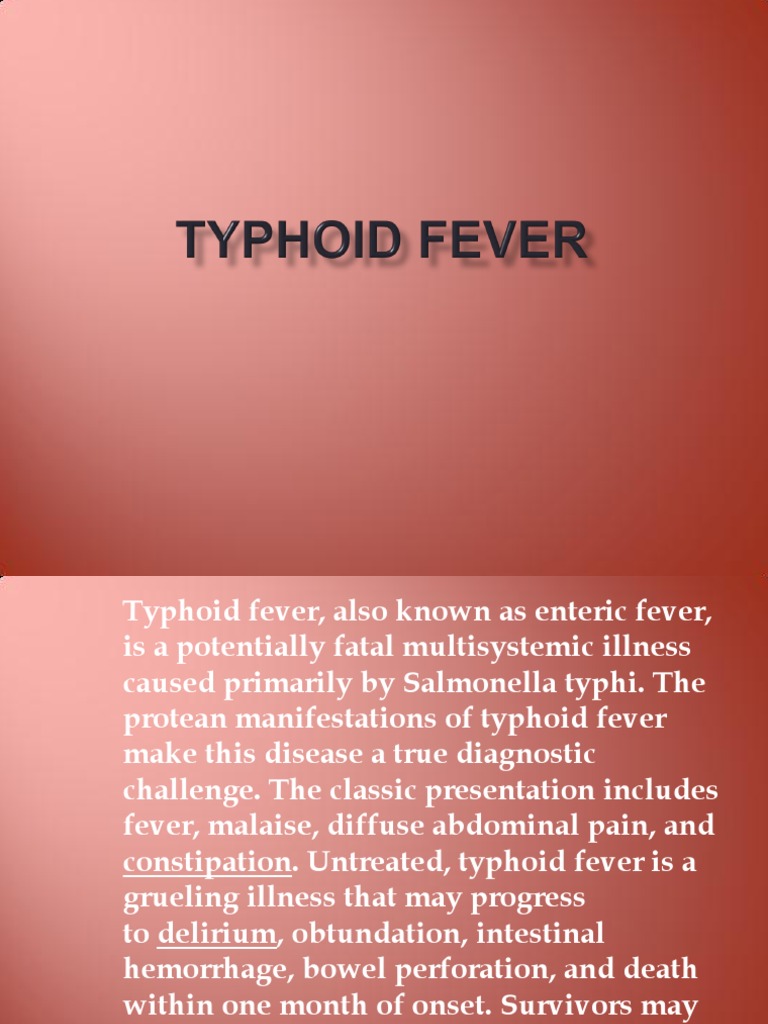 TYPHOID FEVER | Gastrointestinal Tract | Lymphatic System