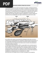 Protocolo de Sincronizacion. Ovsynch | PDF | Vacas | Reproducción humana