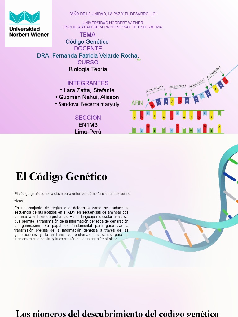 Código Genético: Claves y Funciones | PDF | Genética | Codigo genetico