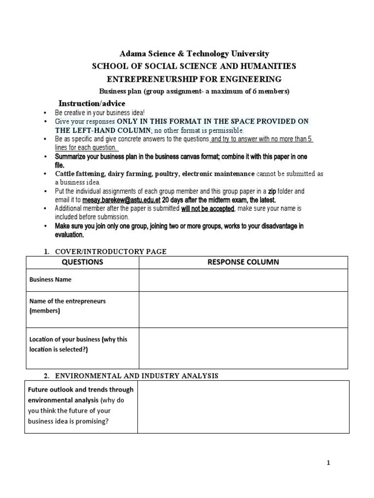 Group Business Plan Guidelines | PDF | Customer | Entrepreneurship