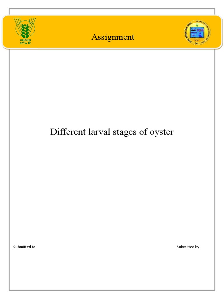 Oyster Larval Stages Explained | PDF | Zoology | Biology