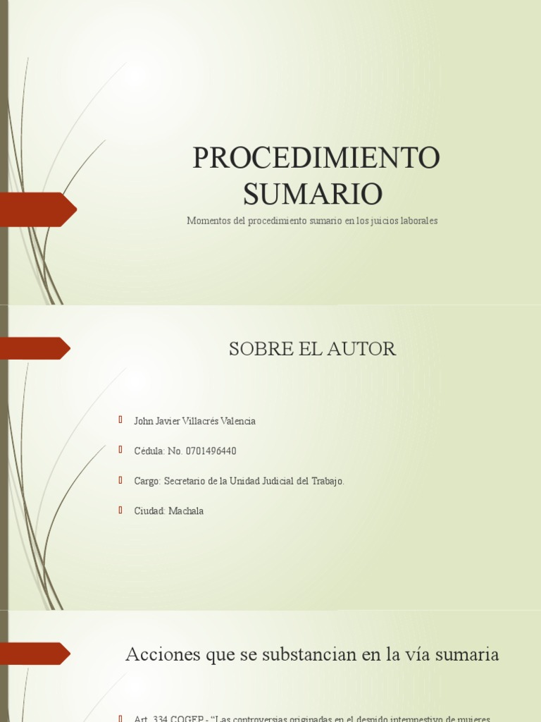 Etapas Del Procedimiento Sumario | PDF | Apelación | Sentencia (ley)