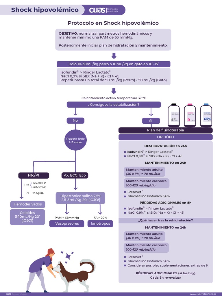 Shock Hipovolemico | PDF | Medicina CLINICA | Emergencias Médicas