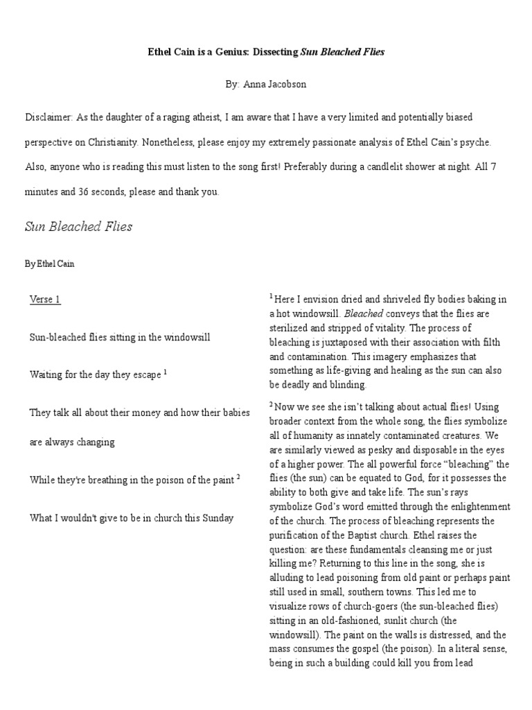 Ethel Cain Is A Genius Dissecting Sun Bleached Flies 3 | PDF | God