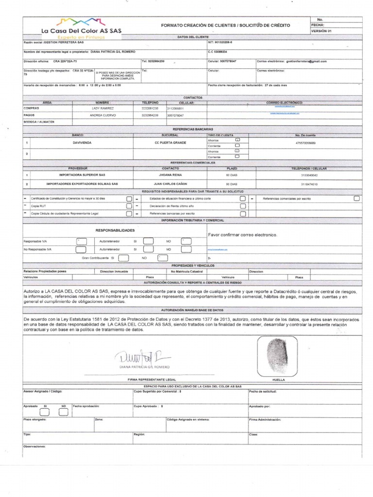 Formato Creacion Cliente La Casa Del Color | PDF