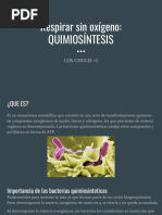 QUIMIOAUTOTROFOS Completos | PDF | Tecnología Ambiental | Ciencia ...