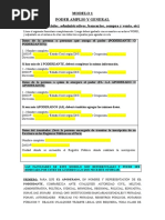 Modelo de Minuta Poder Consular General y Especial Esb | PDF | Mandato ...