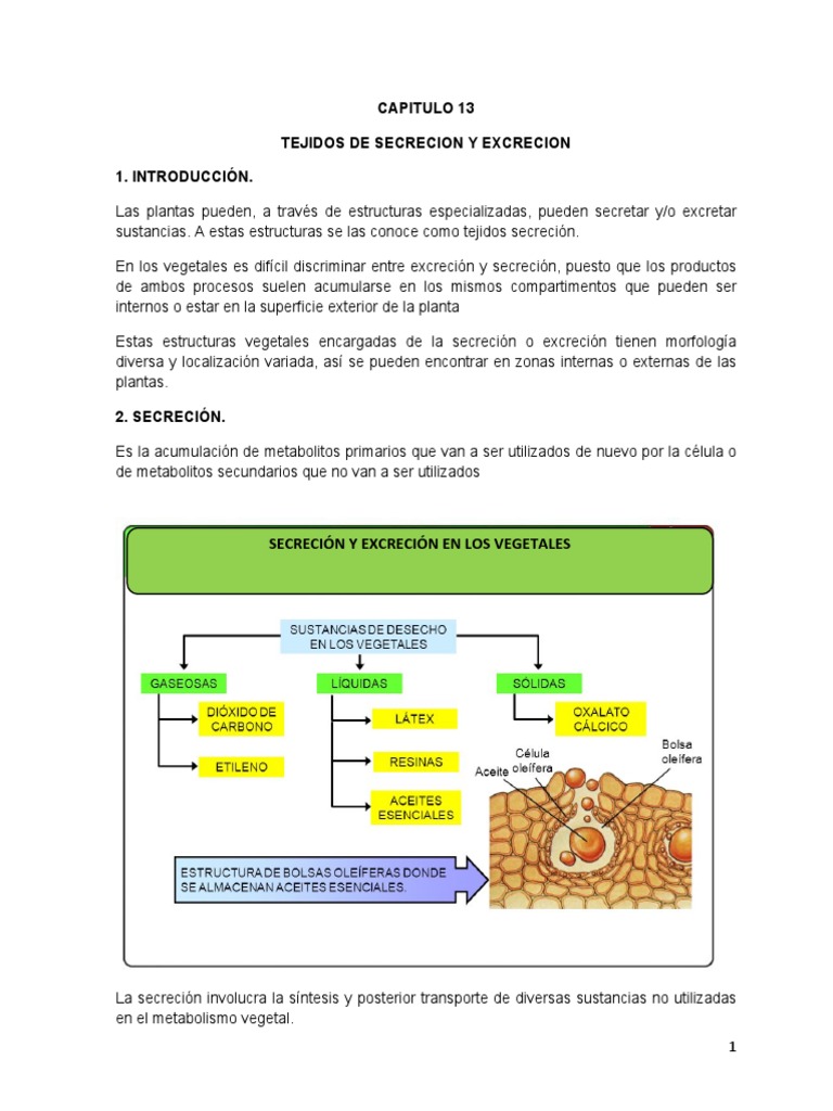 Tejidos de Secreción en Plantas | PDF | Secreción | Plantas