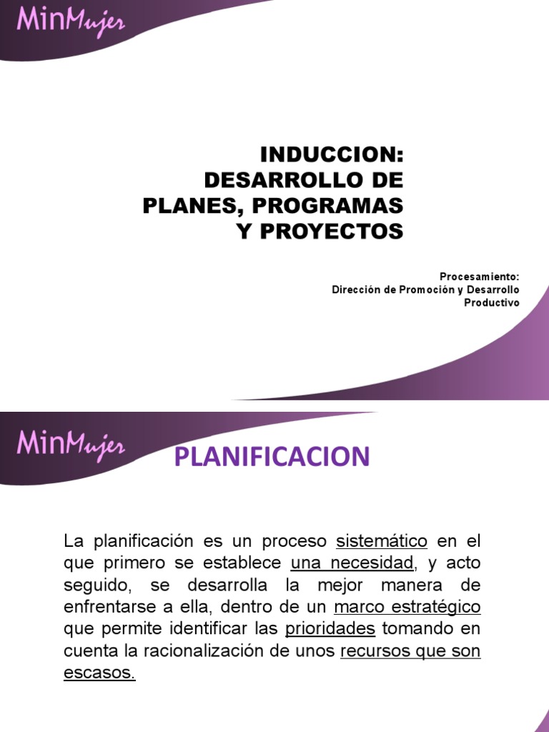 Planes, Programas y Proyectos Actualizado | PDF | Planificación ...