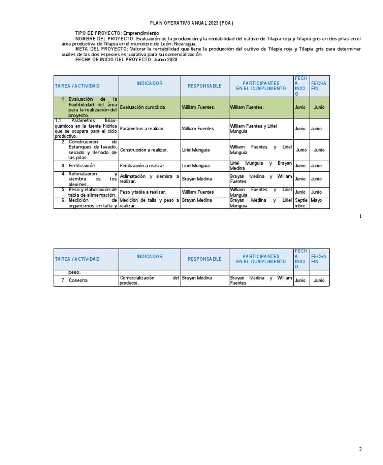 FORMATO POA Matriz Modelo | PDF