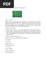 Ficha Técnica Del Pasto Peludo (Brachiaria Decumbens | PDF | Pasto | Pasto