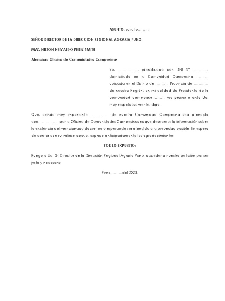 Modelo de Solicitud | PDF