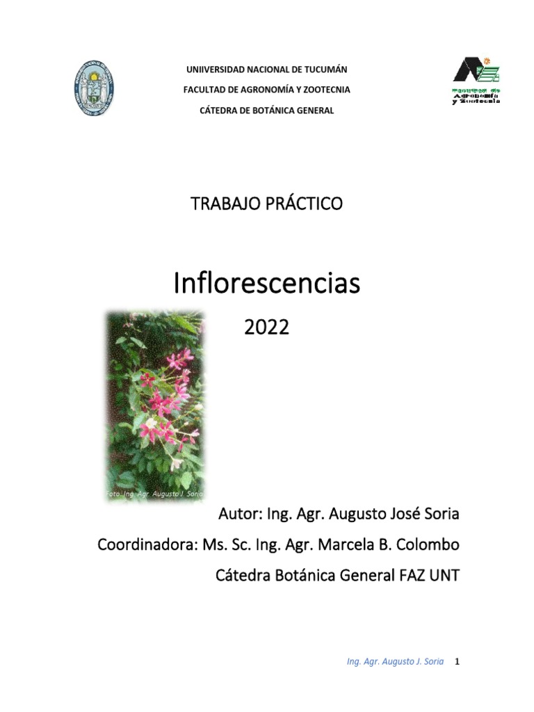 Ejemplos de Inflorescencias en Botánica | PDF | Flores | Plantas
