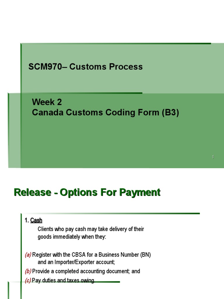 Custom Process - B3 Form | PDF | Customs | Value Added Tax