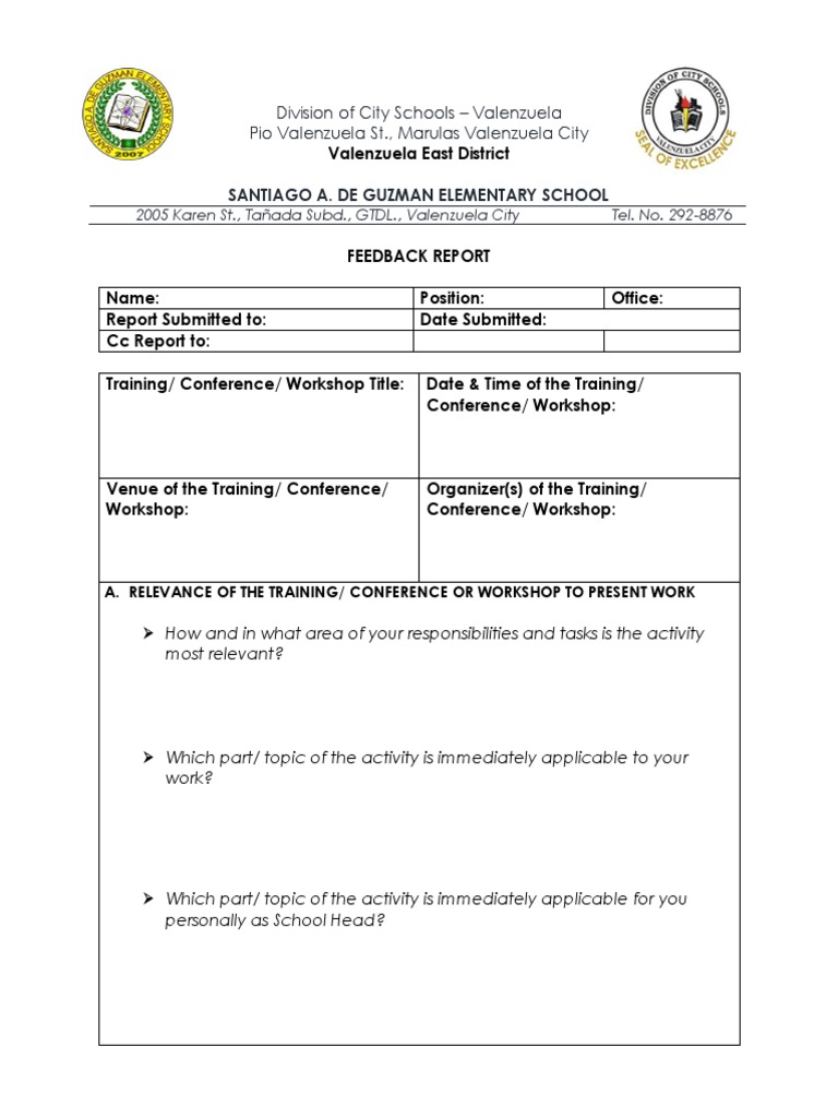 Sadges-Feedback Report Template | PDF
